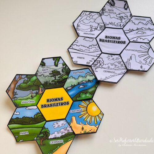 Pack Biomas brasileiros - Loja SOS Professor Atividades